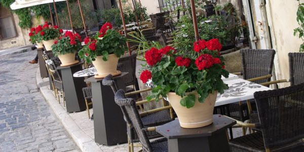 Restaurant Flower Arrangements: Refresh Your Restaurant Design
